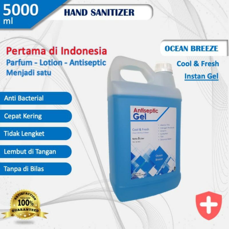 Jual Hand sanitizer Gel 5 Liter / antiseptic Gell drigen 5000ml ...