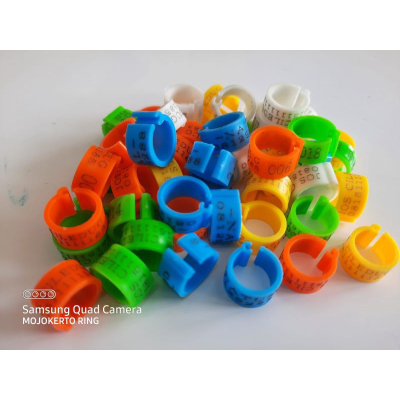 Jual RING BURUNG DEWASA/RING KLIP PLASTIK/RING CUSTOM/RING MERPATI ...