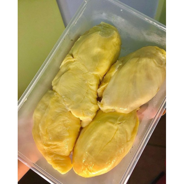Jual Durian montong bali Premium 500 gr (Super manis) | Shopee Indonesia