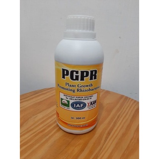 Jual PGPR (Plant Growth Promoting Rhizobacteria) | Shopee Indonesia