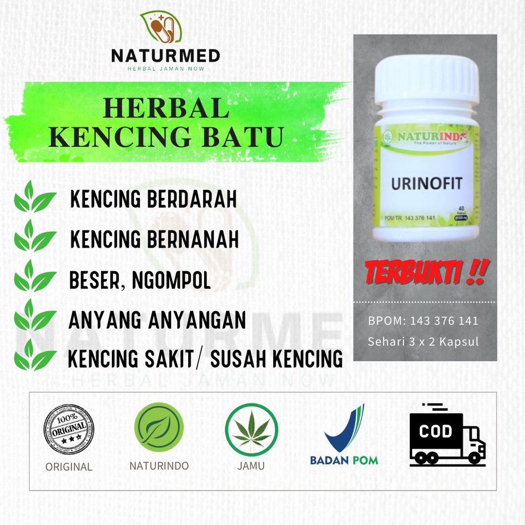 Jual Obat Herbal Batu Ginjal Dan Pembersih Saluran Kemih Prostat Anyang ...