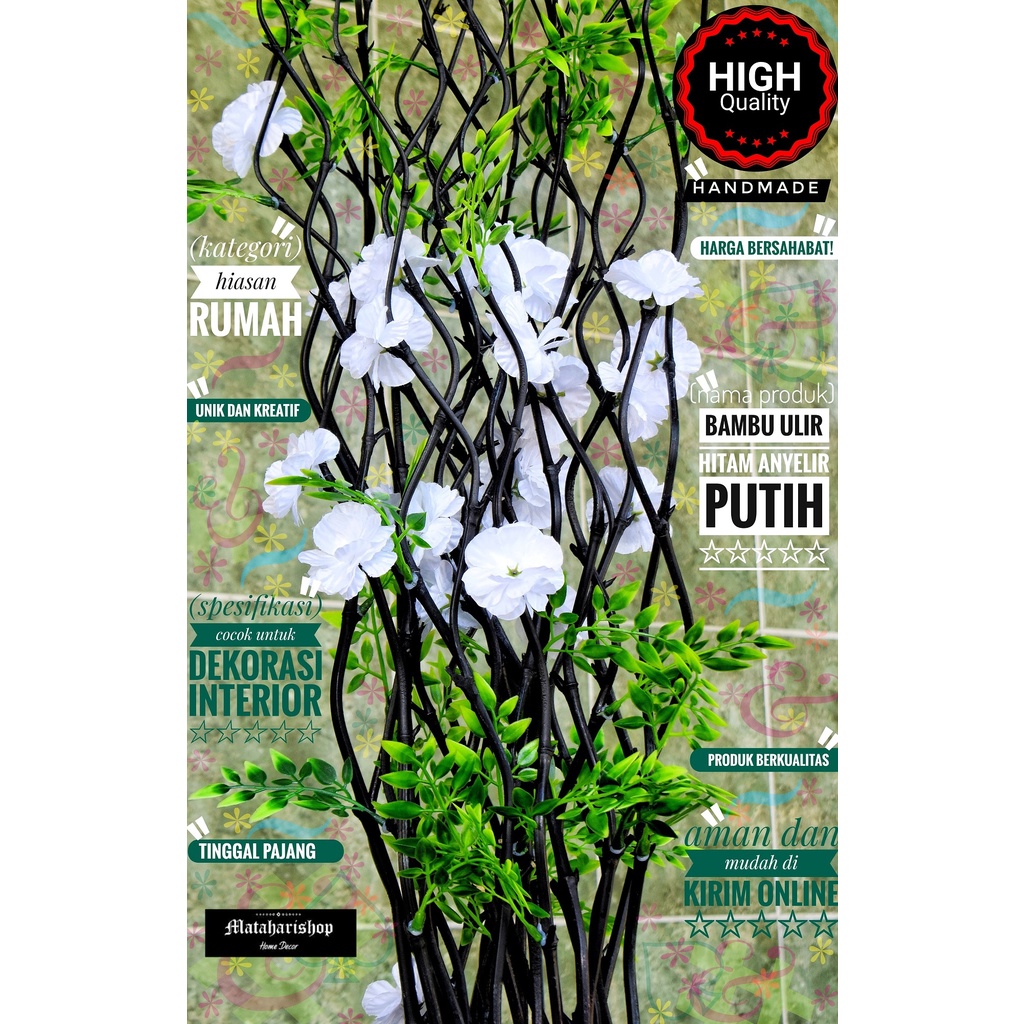 Jual bunga pojok ruang tamu 20 Btg Bambu Ulir Hitam Anyelir Putih 142cm ...