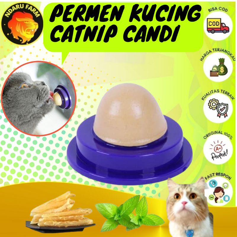 Jual Permen Kucing CATNIP CANDY - Permen Catnip Kucing Kesukaan Kucing ...