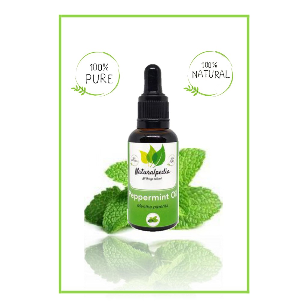 Pure Peppermint Essential Oil / Minyak Esensial Atsiri Daun Mint Murni 30ml | Shopee Indonesia