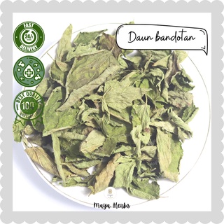 Jual Daun Bandotan Kering 10 gram ( Babadotan / Ageratum Conyzoides ...