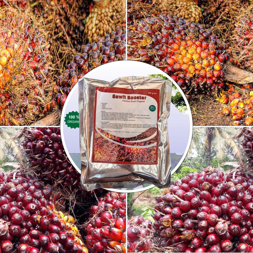 Jual Pupuk Organik Booster Sawit Perangsang Buah Serbuk Terbaik Ampuh Agar Cepat Berbuah Lebat ...