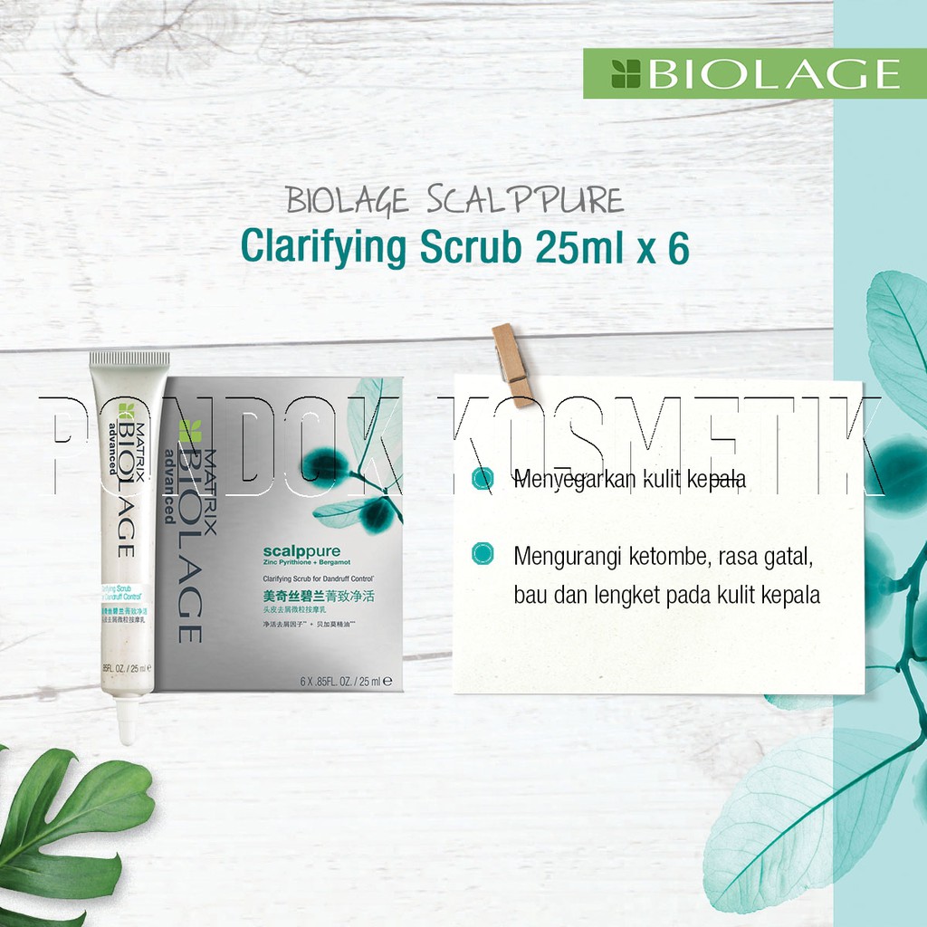 Jual MATRIX BIOLAGE SCALPPURE CLARIFYING SCRUB FOR DANDRUFF CONTROL ...