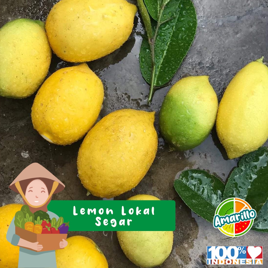 Jual LEMON LOKAL SEGAR 1KG / Buah lemon segar langsung dari petani ...