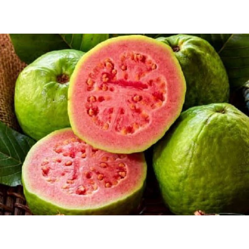 Jual Jambu Merah Segar 1kilo gram | Shopee Indonesia