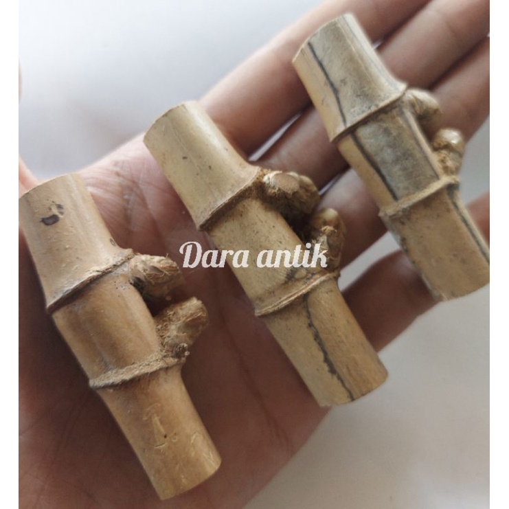 Jual bambu petuk | Shopee Indonesia