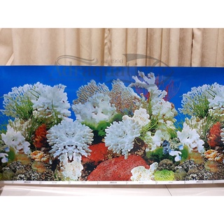 Jual WALLPAPER AQUARIUM UK. 60CM MOTIF TERUMBU KARANG GAMBAR BACKGROUND ...