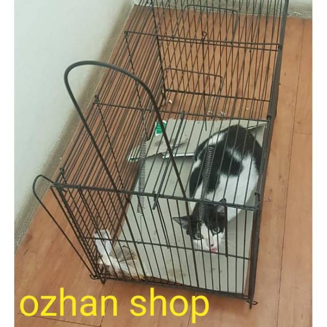 Jual AB48 Perangkap kucing musang tikus | Shopee Indonesia