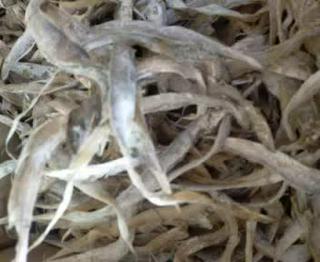 Jual ikan asin layur 500 gram / ikan laut / seafood kering | Shopee ...