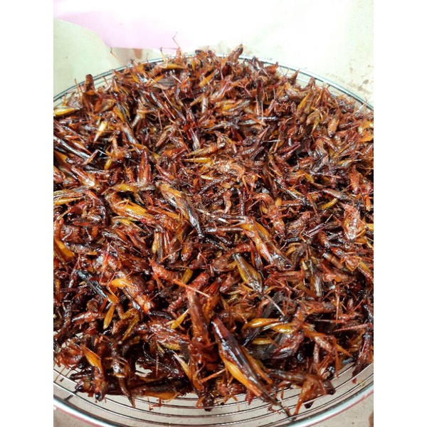 Jual belalang/simeut goreng kecil gurih oleh-oleh majalengka | Shopee ...