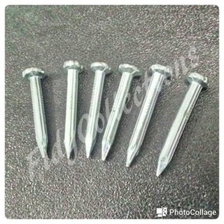 Jual PAKU COR / BETON / TEMBOK KECIL PUTIH UK.1" (2,5CM) | Shopee Indonesia