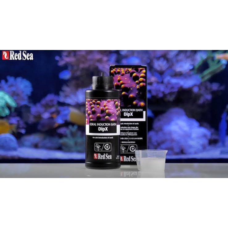 Jual Red sea reef dip x 100 ml | Shopee Indonesia