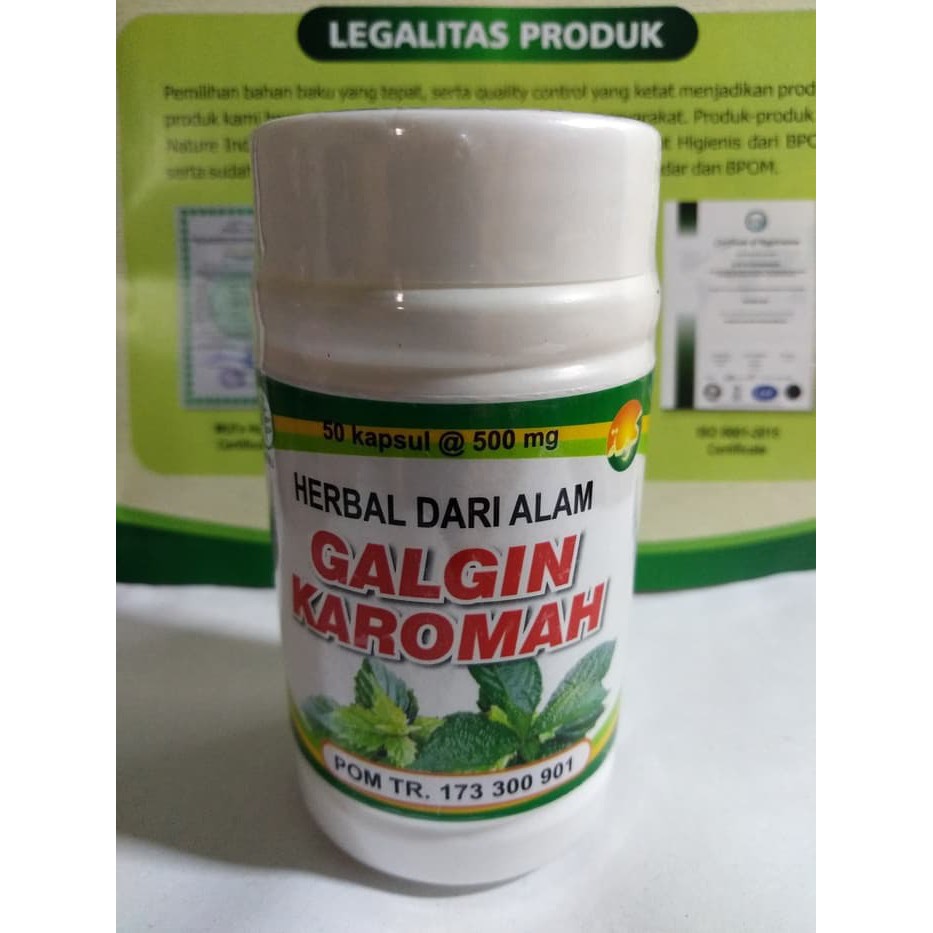 Jual Galgin Karomah Obat Untuk Gagal Ginjal dan Mengembalikan Fungsi ...