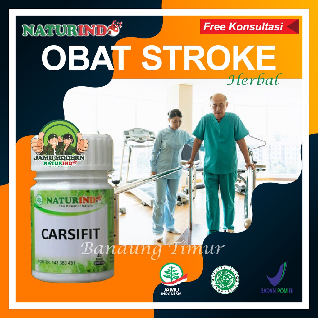 Jual Obat Stroke Struk Herbal Pasca Stroke Berat Ringan Lumpuh Ampuh ...