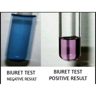 Jual 100 ml Biuret Solution Indicator / Indikator Biuret Protein Test ...