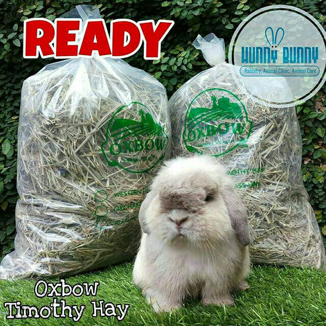 Jual TIMOTHY HAY OXBOW ORIGINAL & DUST FREE 1kg | Shopee Indonesia