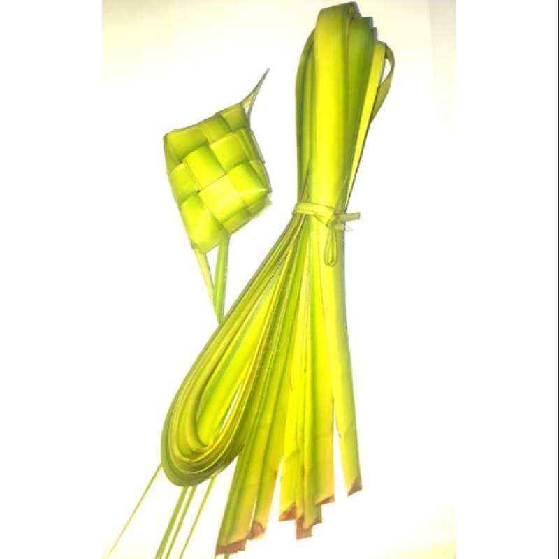 Jual Jual Janur muda daun kelapa muda per lembar bahan kerajinan ...