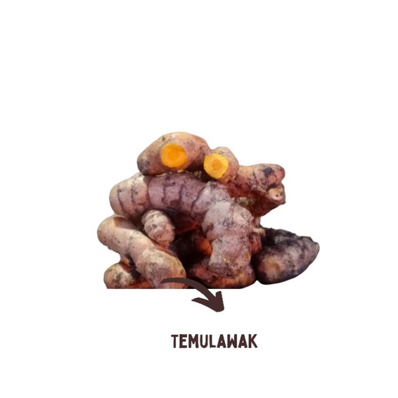 Jual TEMULAWAK /TEMULAWAK SUPER / TEMULAWAK ENTIK | Shopee Indonesia