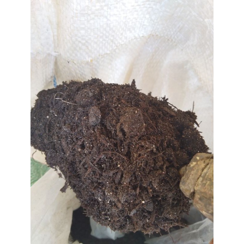 Jual PUPUK KOMPOS ORGANIK SUPER | Shopee Indonesia