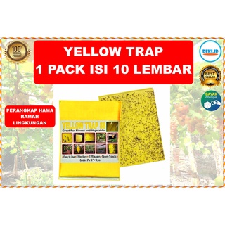 Jual Yellow Trap Perangkap Hama Lem Perekat Lalat Buah Likat Kuning ...