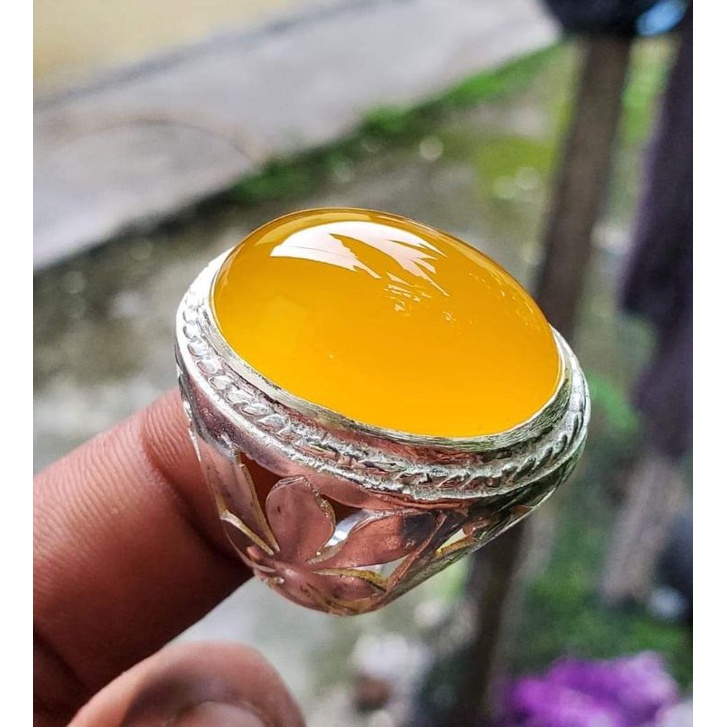 Jual CEMPAKA KUNING ACEH ( CODE 207 ) | Shopee Indonesia