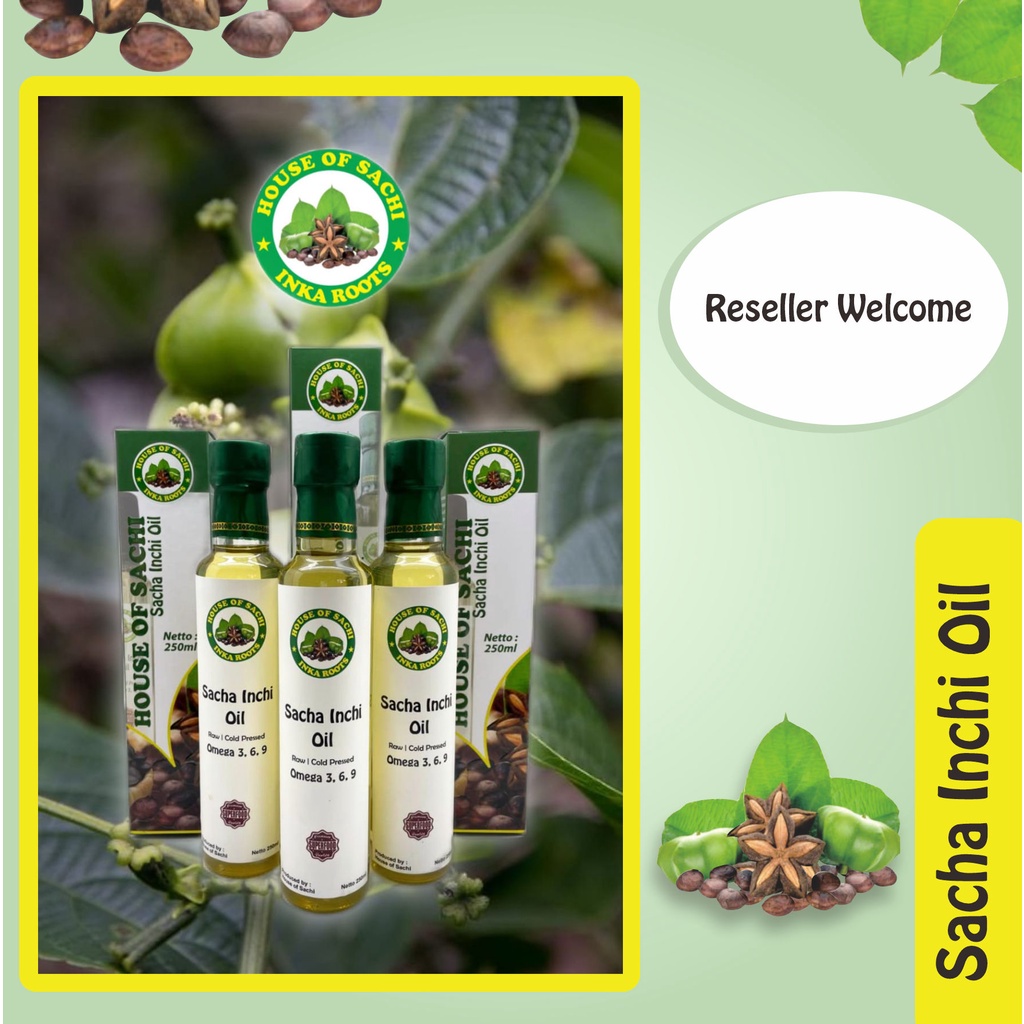 Jual SACHA INCHI OIL 100% PURE RAW COLD PRESSED 250ML | Shopee Indonesia