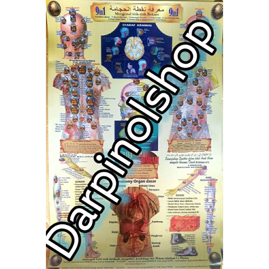 Jual Poster Bekam 9in1 Grosir 100 Lembar | Shopee Indonesia