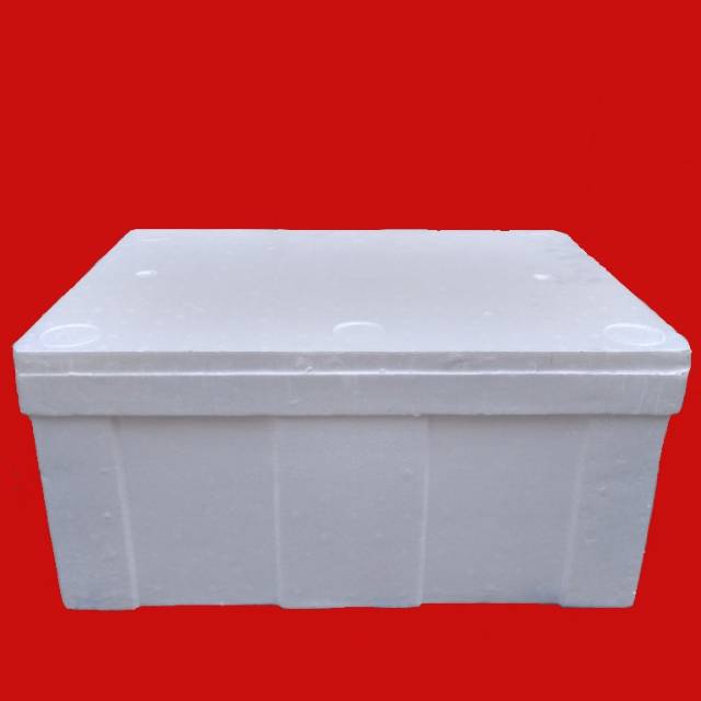 Jual STYROFOAM BOX STEROFOAM BOX BESAR 10 KG UKURAN 54 x 39 x 21 cm ...