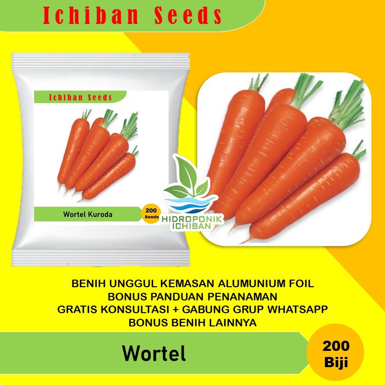 Jual Benih Bibit Biji Wortel Kuroda Carrot Known You Seed kemasan ...