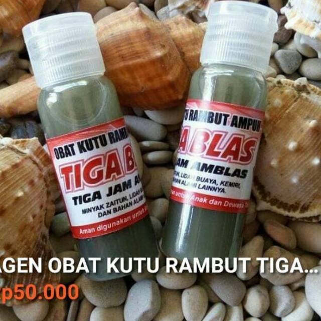 Jual OBAT KUTU RAMBUT HERBAL TIGA BLAS TUBAN (TIGA JAM AMBLAS)BAHAN2 ...