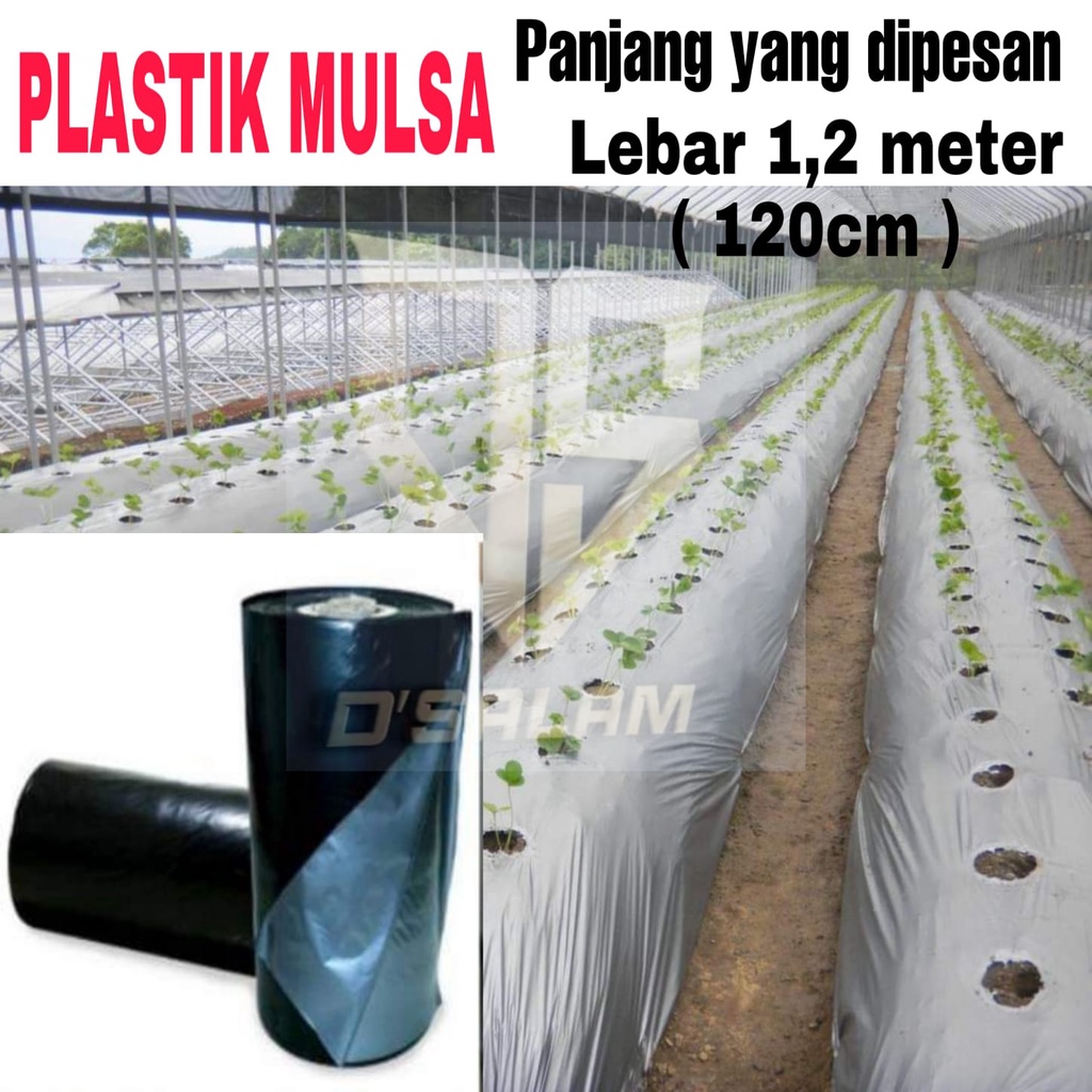 Jual PLASTIK MULSA ( PAKET ) -10 meter - 15 meter - 20 meter- 25 meter ...
