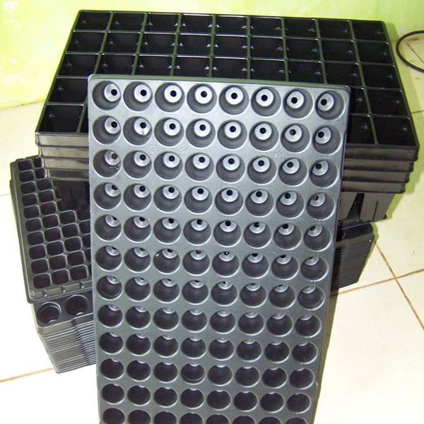 Jual Pottray type 104 model bulat/pot semai/alat sema/ seed tray ...