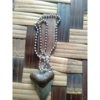 Jual fosil megalodon Harga Terbaik & Termurah September 2022 | Shopee ...