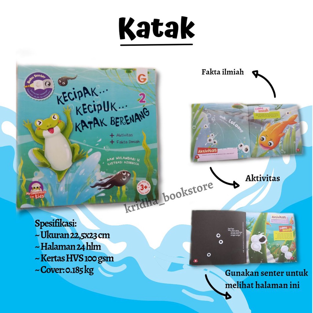 Jual Buku Seri Katak-Seri metamorphosis for kids | Shopee Indonesia