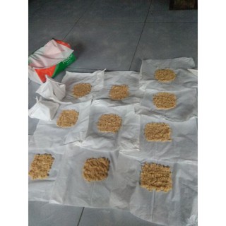 Jual telur bsf magot 1gram / telur magot / telur bsf / telur maggot ...