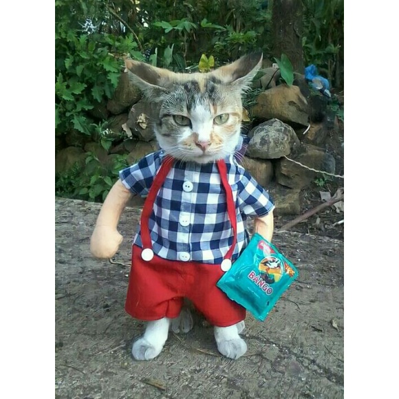 Jual KOSTUM KUCING LUCU | Shopee Indonesia