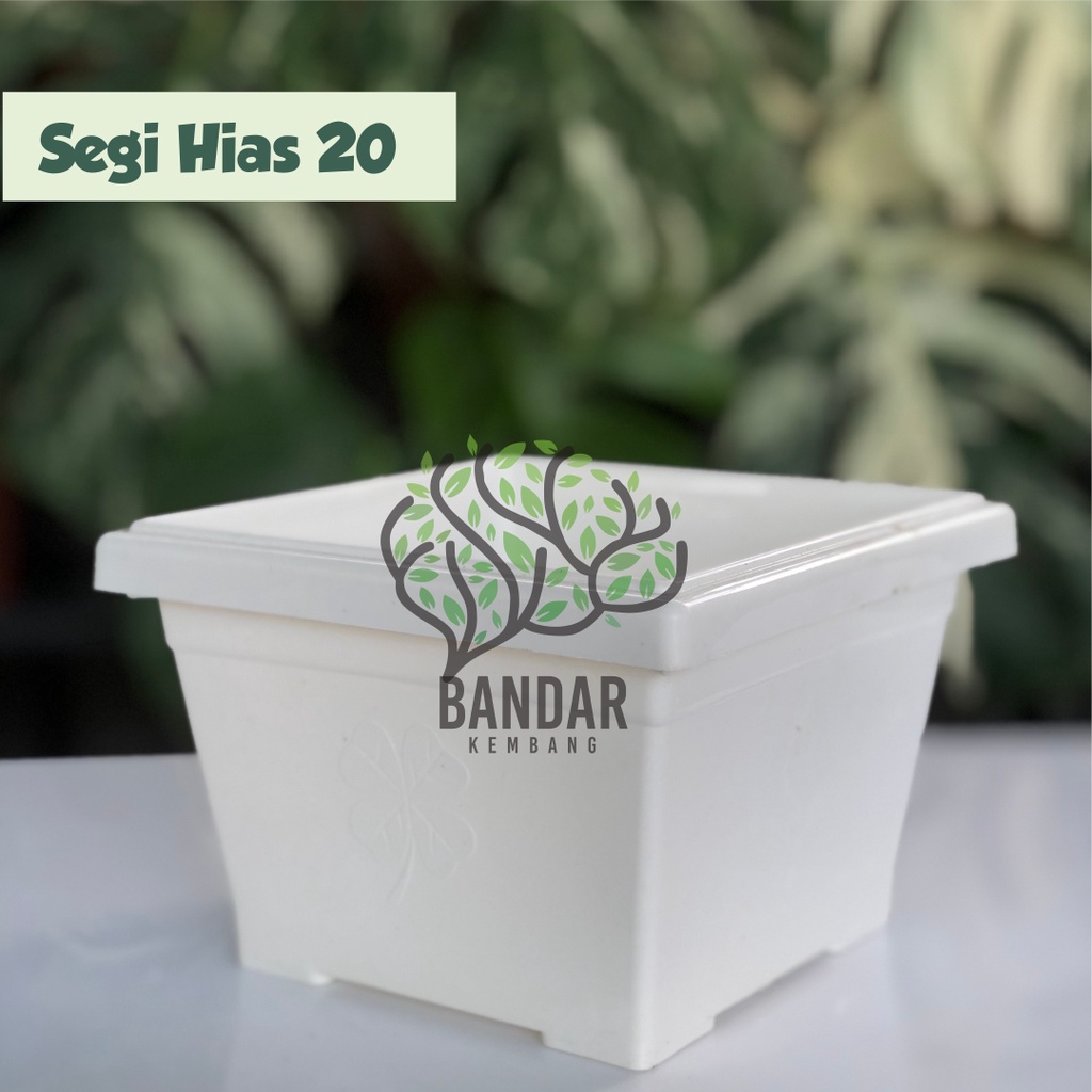 Jual Pot Bunga Segi Tanaman Hias Dan Bunga 20 Putih - Pot Kotak Segi ...