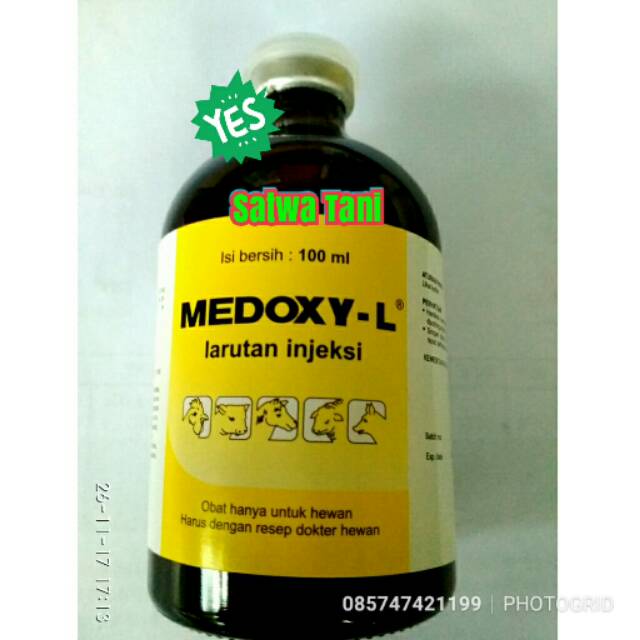 MEDOXY -L 100 ml (ANTIBIOTIK SPEKTRUM LUAS) | Shopee Indonesia