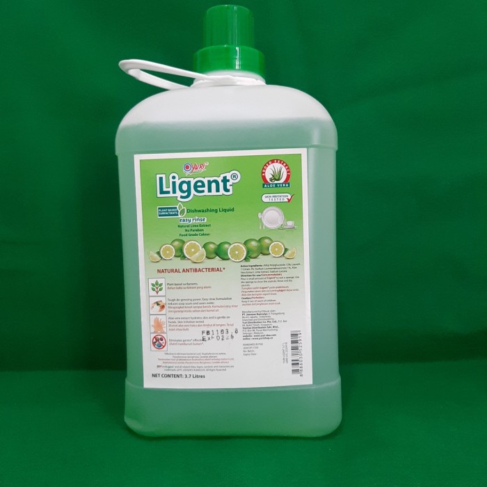 Jual LIGENT Dishwasing Liquid Aroma Lime Aloe Vera, Galon | Shopee ...