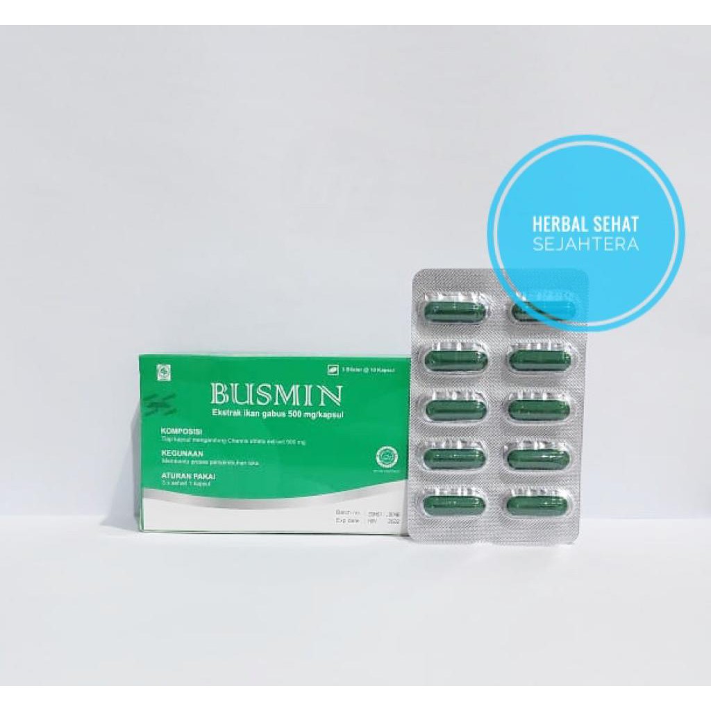 Harga Busmin Terbaru Januari 2023 |BigGo Indonesia