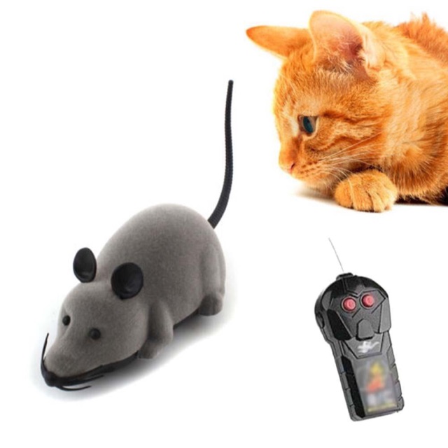 Jual Mainan tikus remote control kucing tikus rc import | Shopee Indonesia