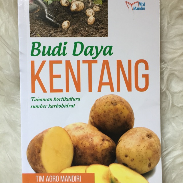 Jual Budi Daya Kentang | Shopee Indonesia Jual Budi Daya Kentang | Shopee Indonesia
