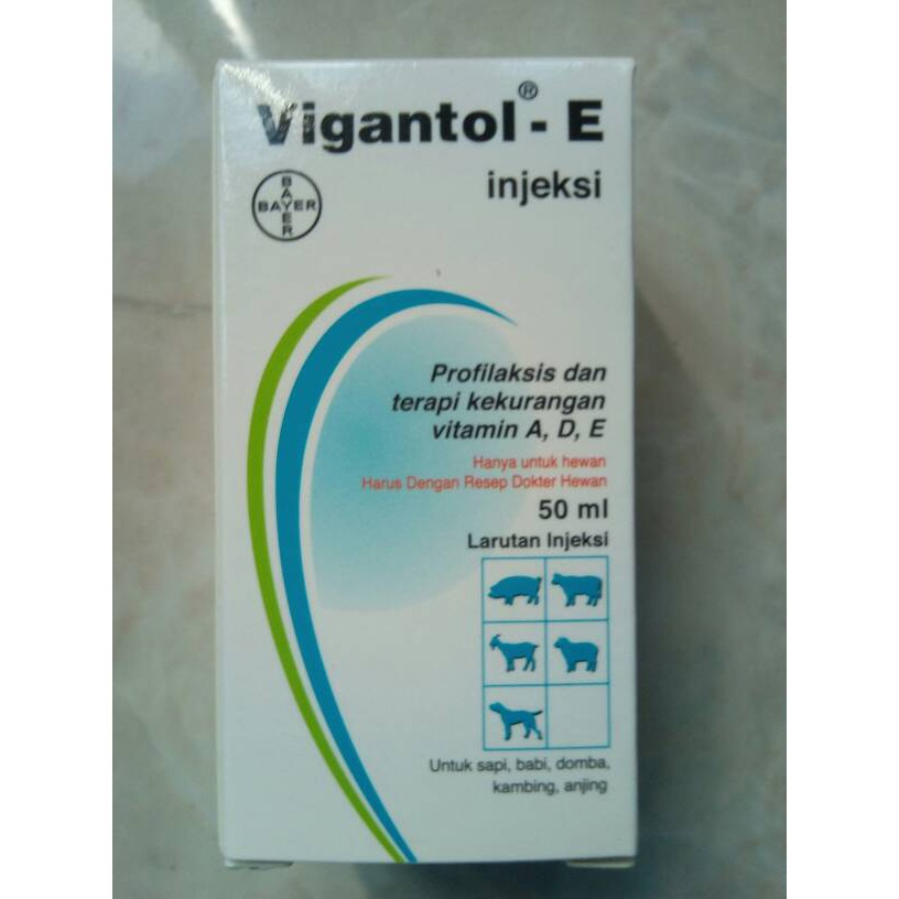Jual Vigantol-E injeksi (vitamin ADE konsentrasi tinggi) Murah | Shopee ...