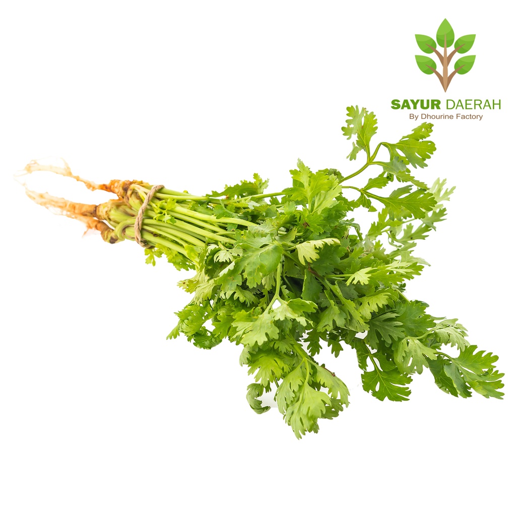 Jual Daun Ketumbar Wangsui 250 Gr | Sayur Daerah | Shopee Indonesia
