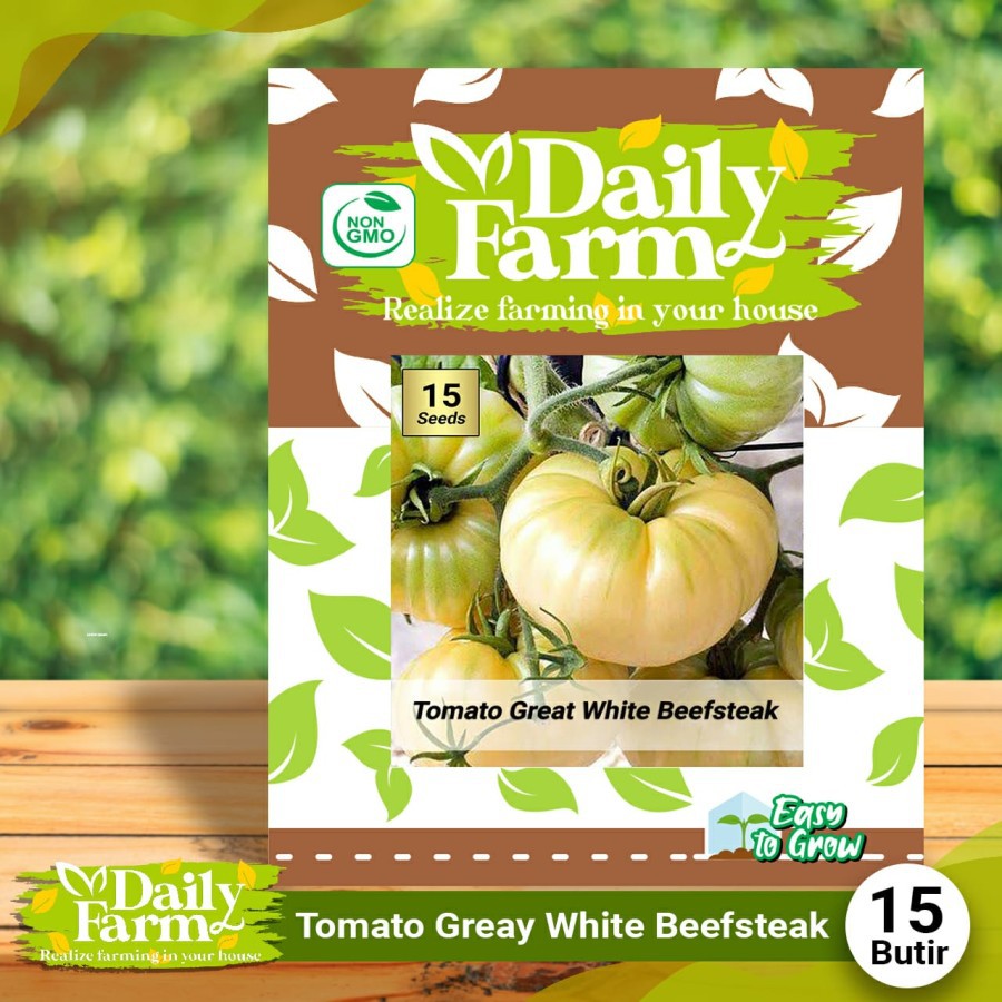 Jual Benih Tomat Tomato Great White Beefsteak - Tomat Putih Daily Farm ...