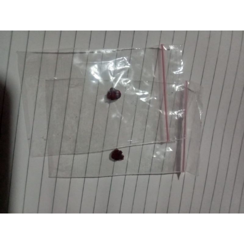 Jual INGGU PENANGKAL KUYANG | Shopee Indonesia